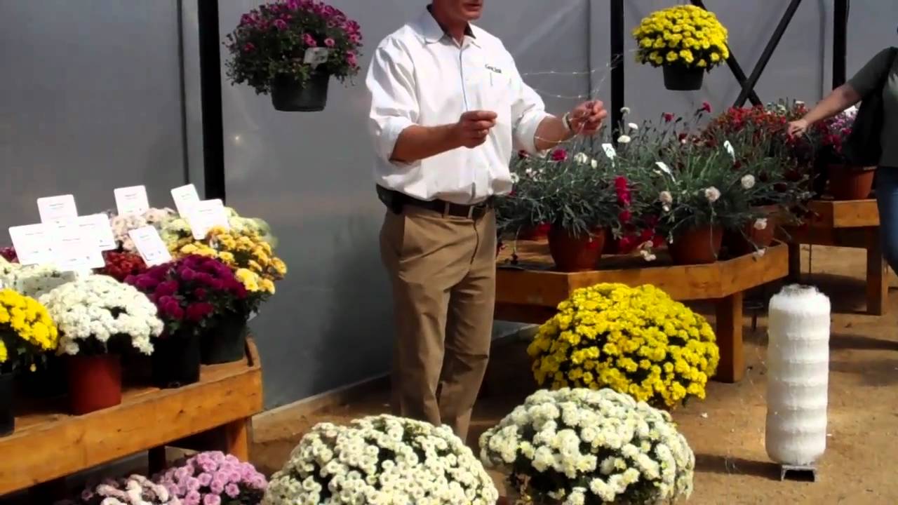 Mum Netting - YouTube