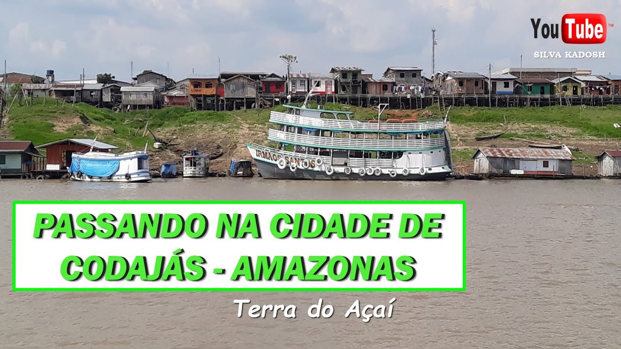 CODAJÁS AMAZONAS | Terra do Açaí - YouTube
