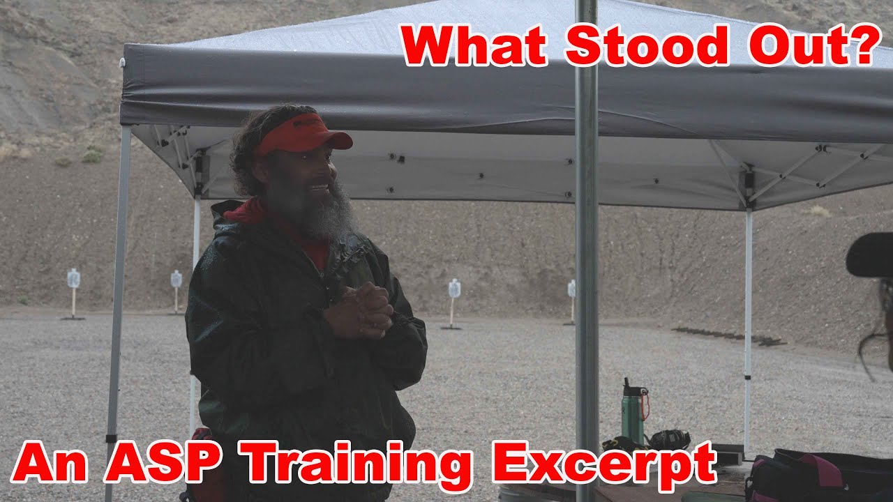 What Stood Out: An ASP Training Excerpt - YouTube