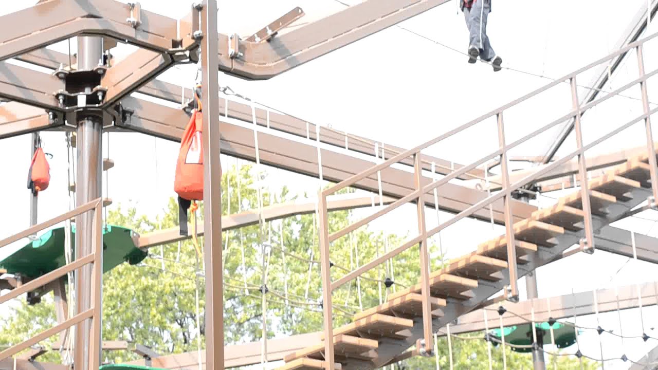 Toronto Zoo Gorilla Climbing - YouTube