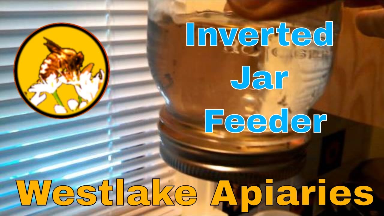 Inverted Jar feeder - YouTube
