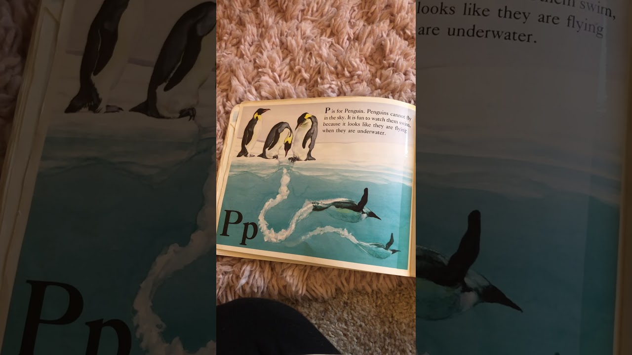 The Bird Alphabet Book - YouTube