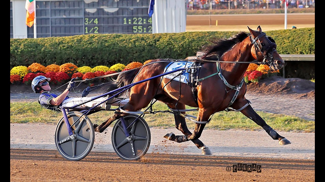 2024 Little Brown Jug Recap - YouTube