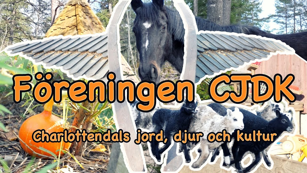 Föreningen CJDK presentation - YouTube