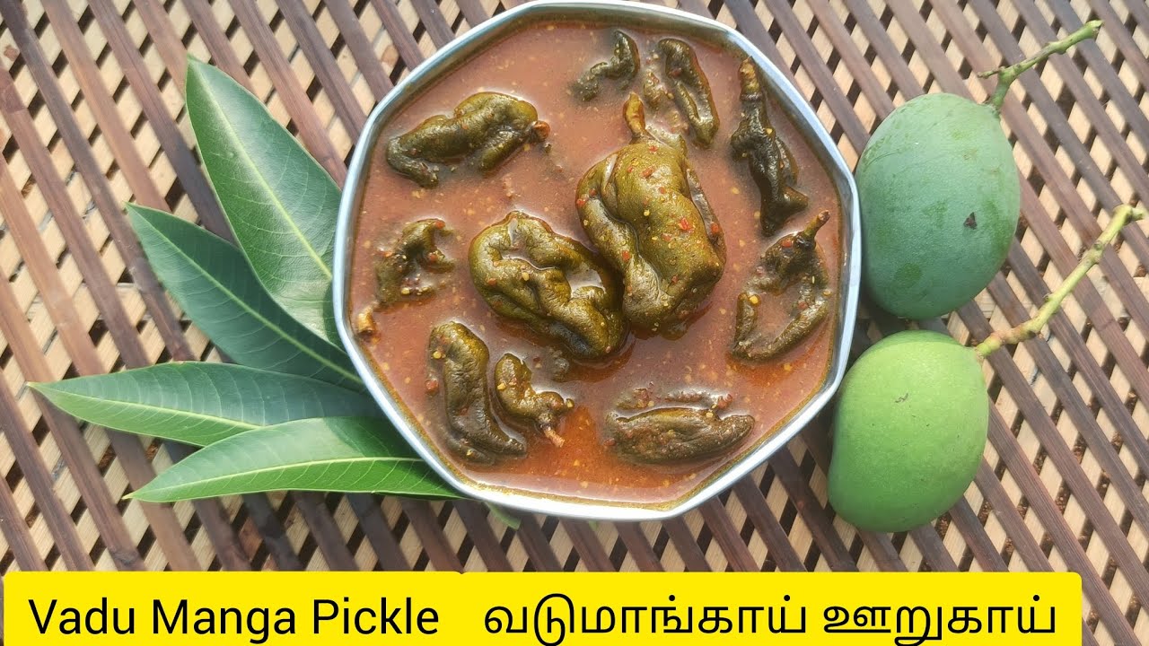 வடு மாங்காய் ஊறுகாய்/மாவடு/Vadu Manga Pickle Recipe in Tamil/Tender ...