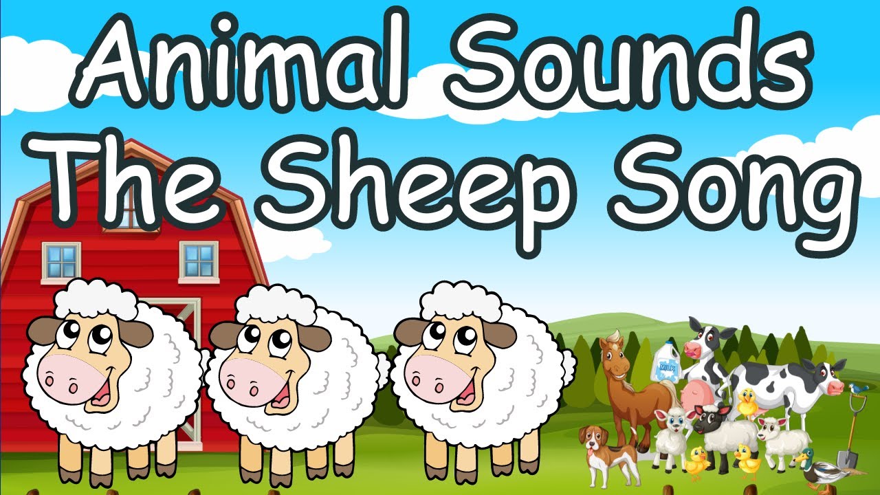 Learn Animal Sounds | Sheep Song Song | Learn Animals - YouTube