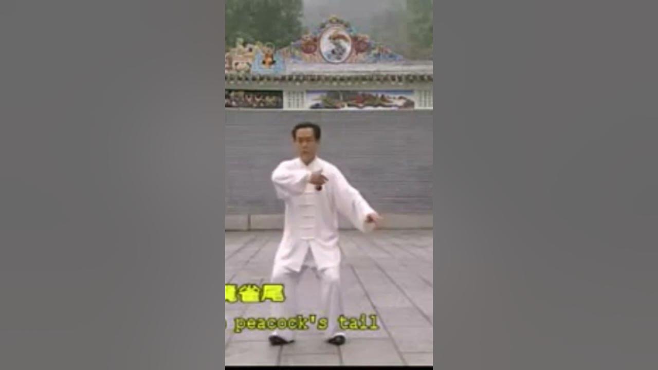 Yang shi tai chi quan 85 forms. Zhao Yubing - YouTube