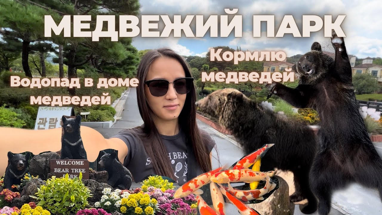 Обзор на Bear Tree Park/Водопад в доме медведей/ Кормление медведей ...