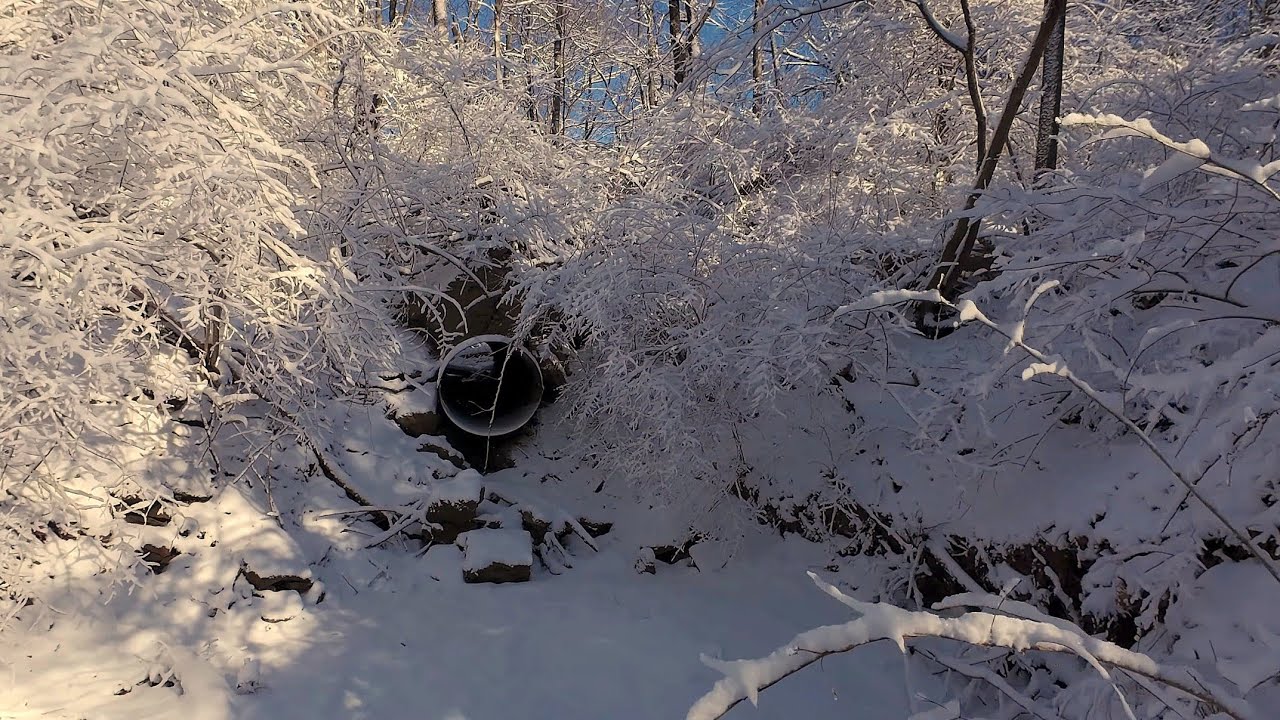 One snowy morning ..avata 2.. - YouTube