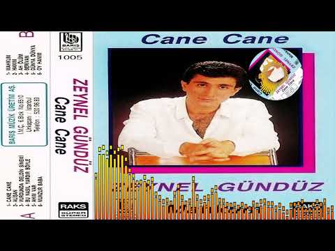 Zeynel Gündüz -  Ah Ölüm