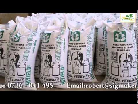 Sigma Feeds Ltd on Utugi TV - YouTube