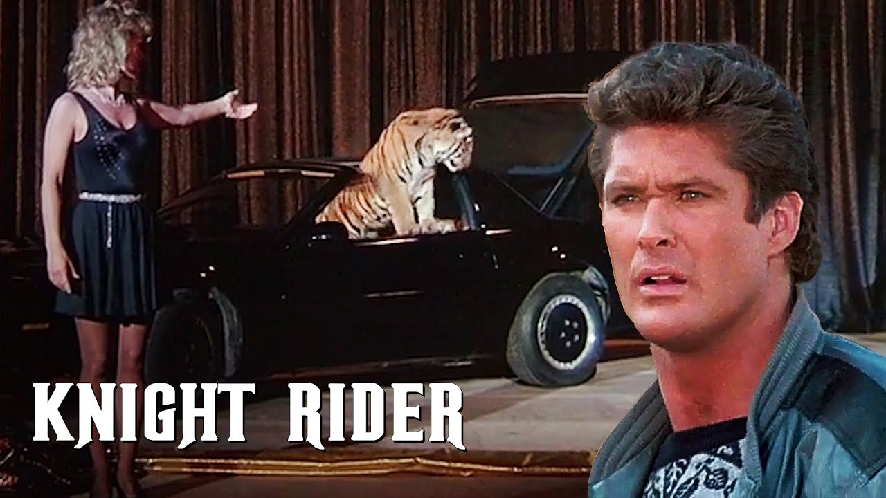 Michael und K.I.T.T.s Begegnung mit einem Tiger | Knight Rider ...