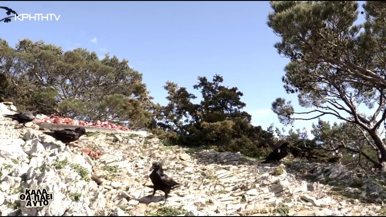 ΚΑΛΑ ΘΑ ΠΑΕΙ ΑΥΤΟ - Κόφινας - YouTube