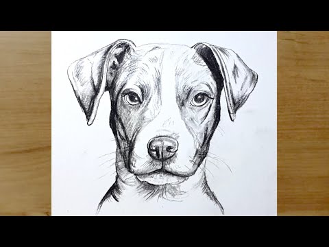 Köpek Çizimi Nasıl Yapılır | Adım Adım Köpek Çizimi | Karakalem Çizimleri | How to Draw a Dog