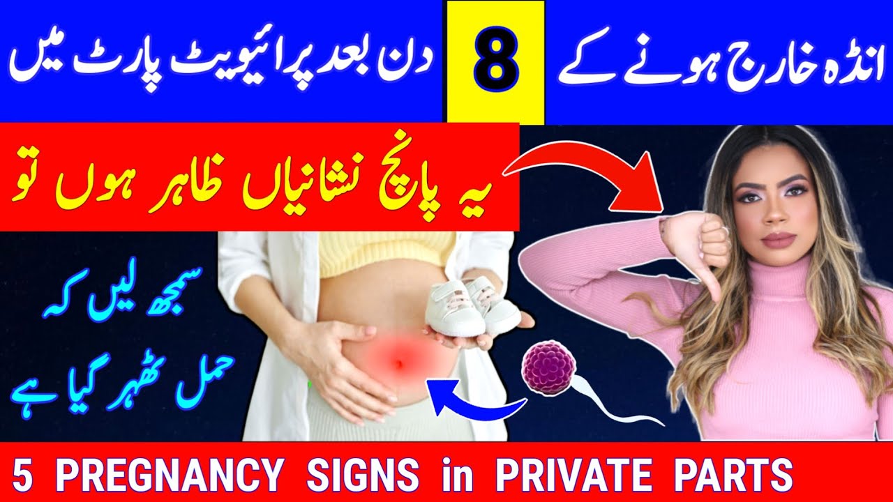 5 Pregnancy Signs in Female Private Parts |5 Signs Of Successful ...