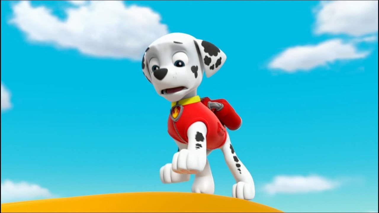 PAW Patrol Marshall's wipeout #11 - YouTube
