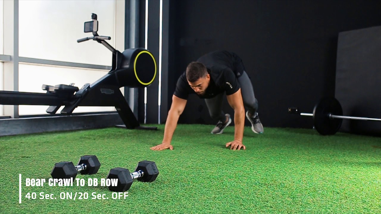 Bear Crawl To DB Row - YouTube