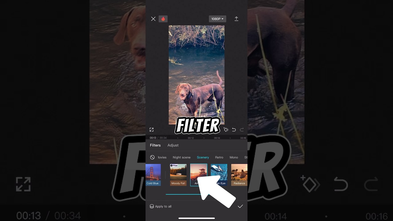 How To Add Filter To Entire Video capcuttutorial editingtutorial How To Add Filter To Entire Video capcuttutorial editingtutorial