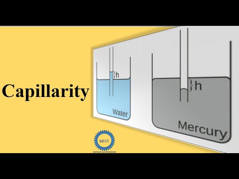 Capillarity - YouTube