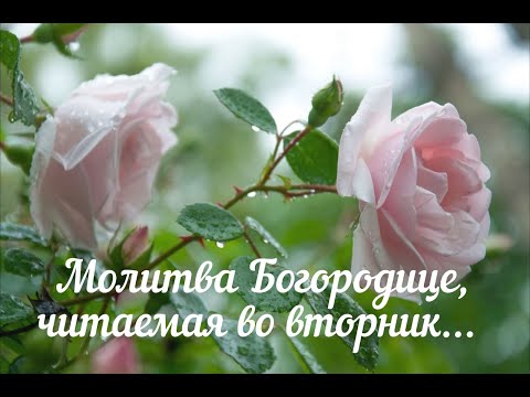 Молитва, читаемая во вторник Пресвятой Богородице