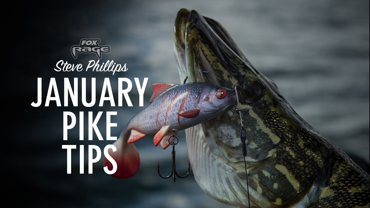 ***FOX RAGE TV *** JANUARY PIKE TIPS - YouTube
