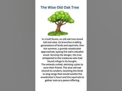 The Wise Old Oak Tree| English Story| A Short Moral Story #learnenglish ...