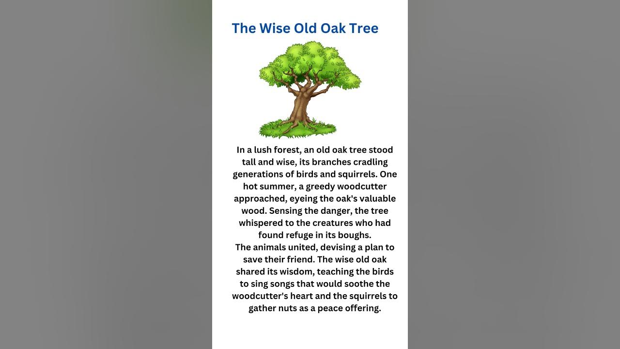 The Wise Old Oak Tree| English Story| A Short Moral Story #learnenglish ...