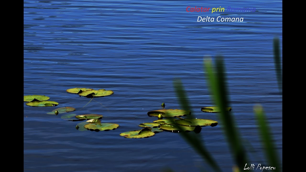 Calator prin Romania-Delta Comana - YouTube