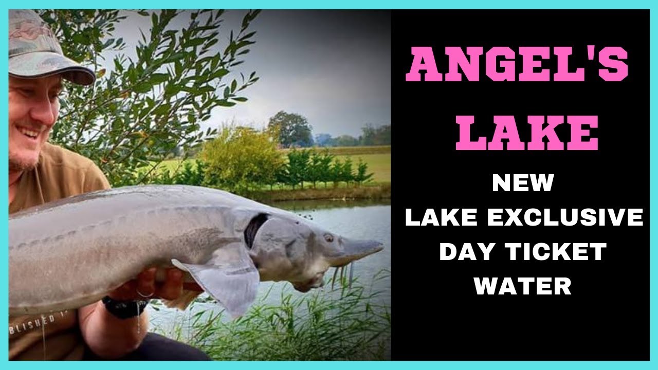 CARP FISHING AT ANGEL'S LAKE (NEW EXCLUSIVE DAY TICKET WATER ) - YouTube