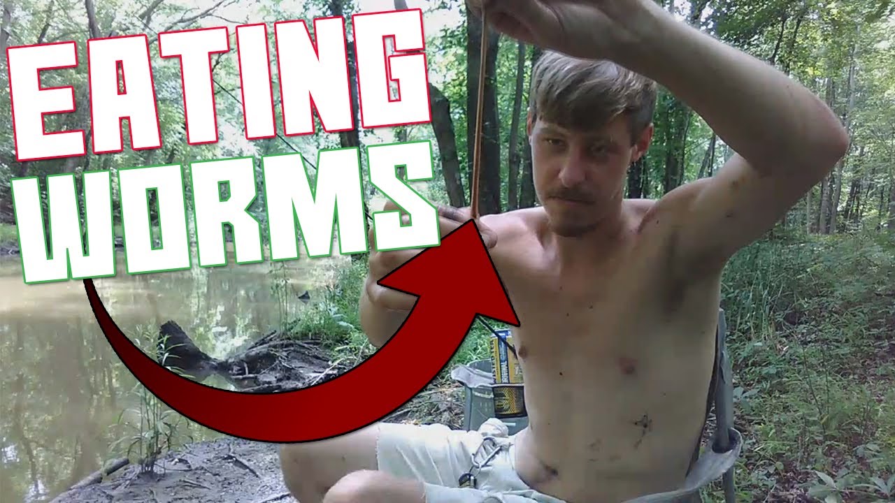 EATING WORMS LIVE ON STREAM! - Twitch Fails and Funny Moments - YouTube