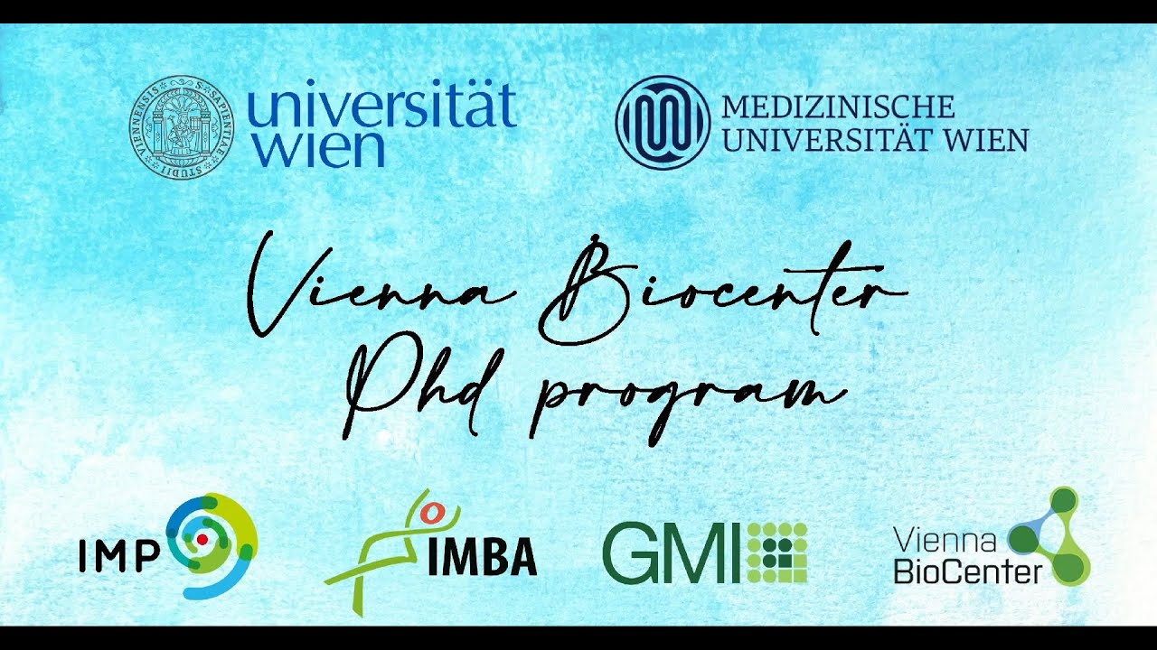 Connie Curious Joins Vienna BioCenter PhD Program - YouTube