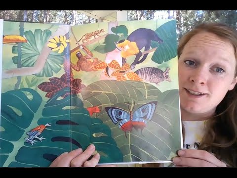Nature Storytime #30 - The Dancing Turtle: A Folktale from Brazil by ...