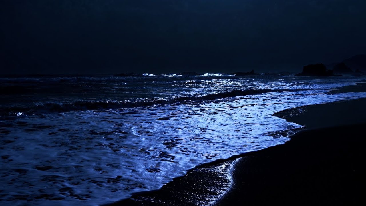 Calm Night Ocean Waves: Gentle Sea Sounds for Restful Sleep and ...