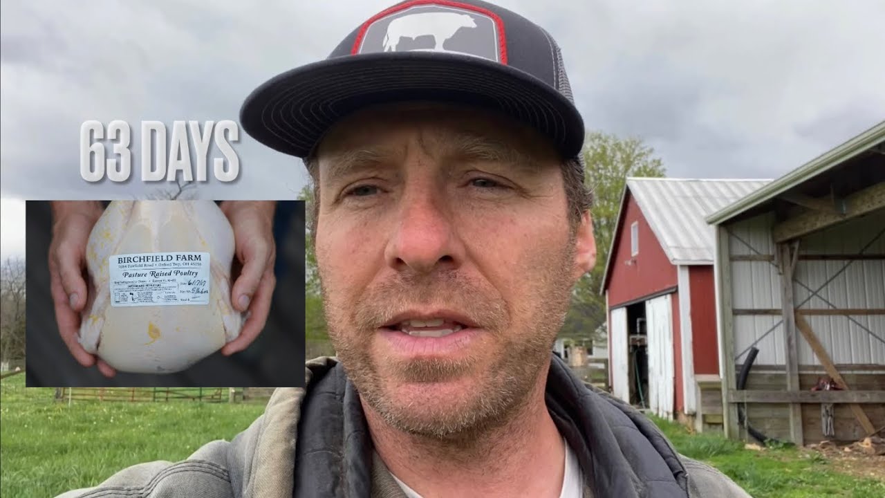 587 lbs, 63 Days - Pasture Raised Broilers - Brooder Set-up for Small ...