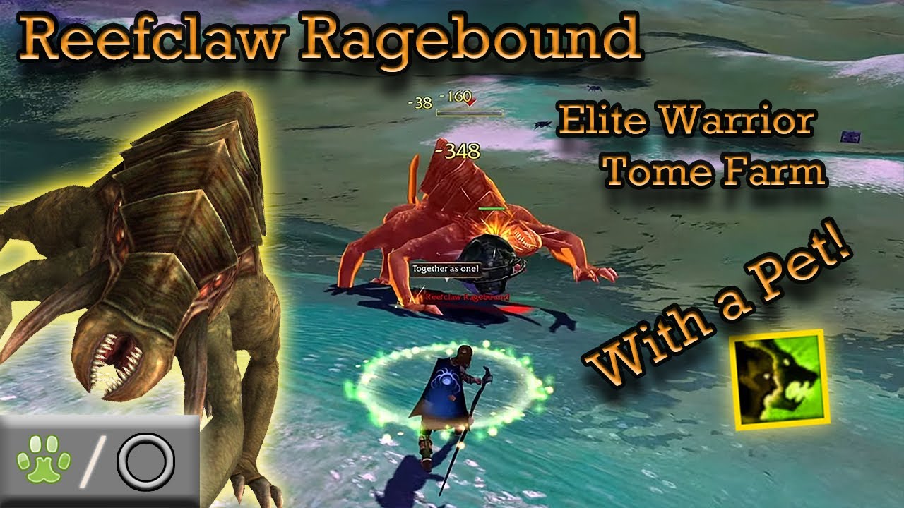 Pet Farming Elite Warrior Tomes, Reefclaw Ragebound - Guild Wars Ranger ...