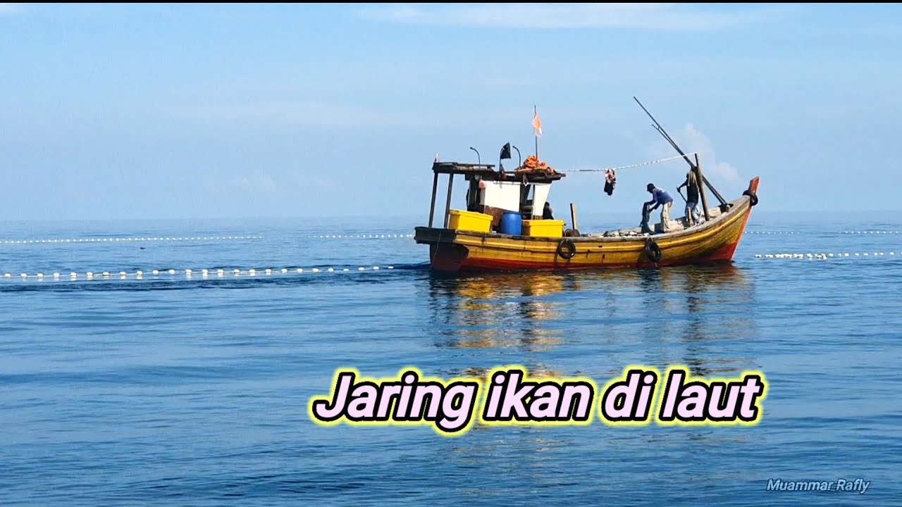 Jaring Ikan di laut menggunakan Pukat Cincin dari jatuh pertama hingga ...