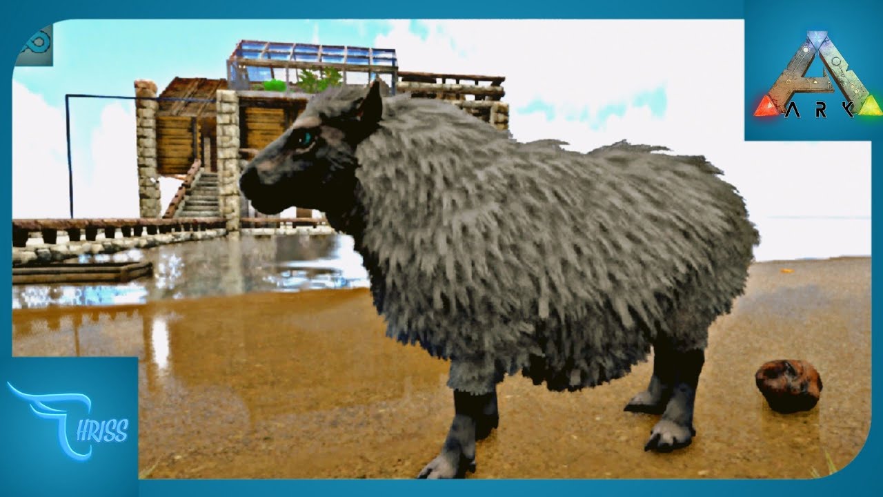 CARA MUDAH TAMING OVIS EPS 70 || ARK: Ultimate Mobile Edition Indonesia ...