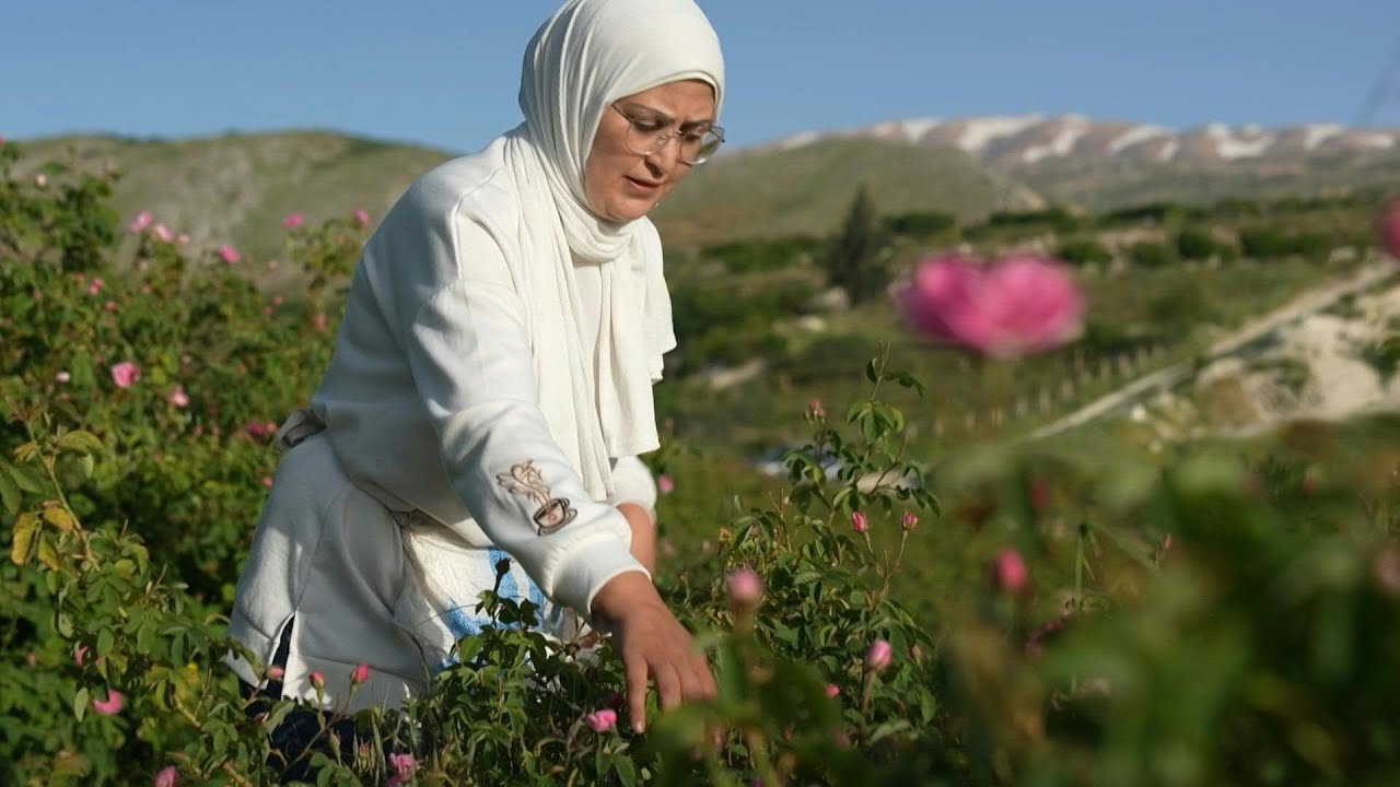 Scent of tradition lingers in Lebanon's 'village of roses' | AFP - YouTube