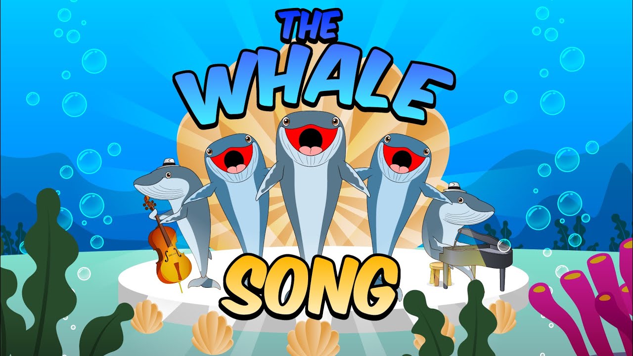 The Whale Song 🎶🐳 - YouTube