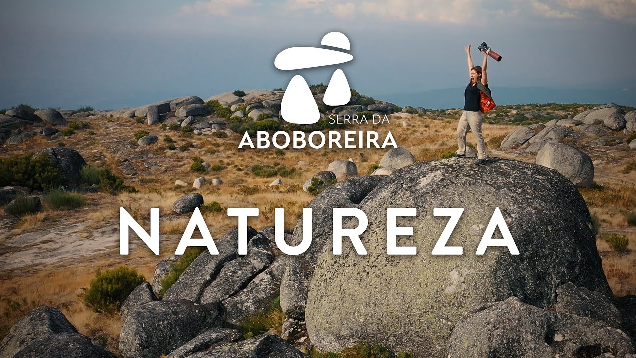 Aboboreira | Natureza - YouTube