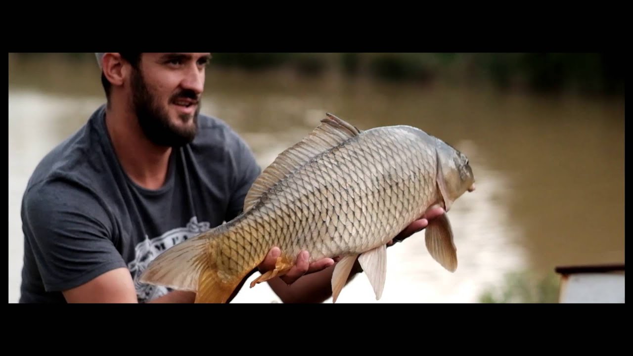Struben Short Sessions - Part 1 Karpioene - YouTube