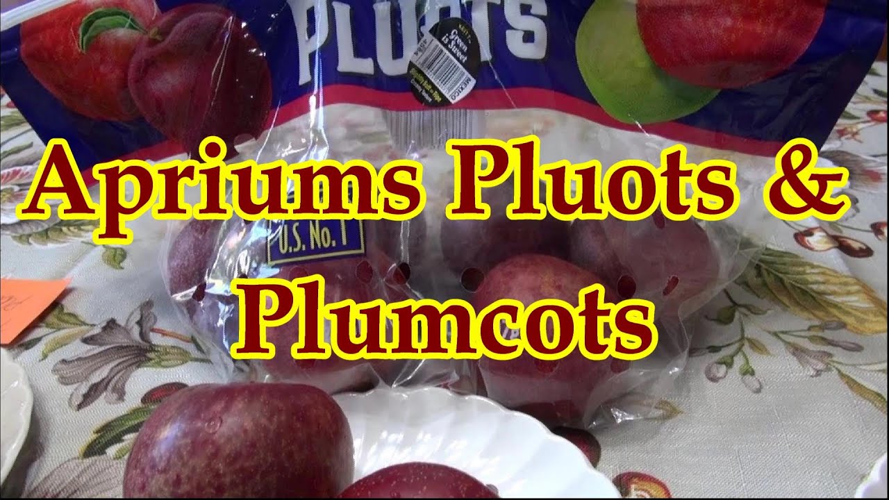 Apriums Plumcots Apriplums and Whatever - YouTube