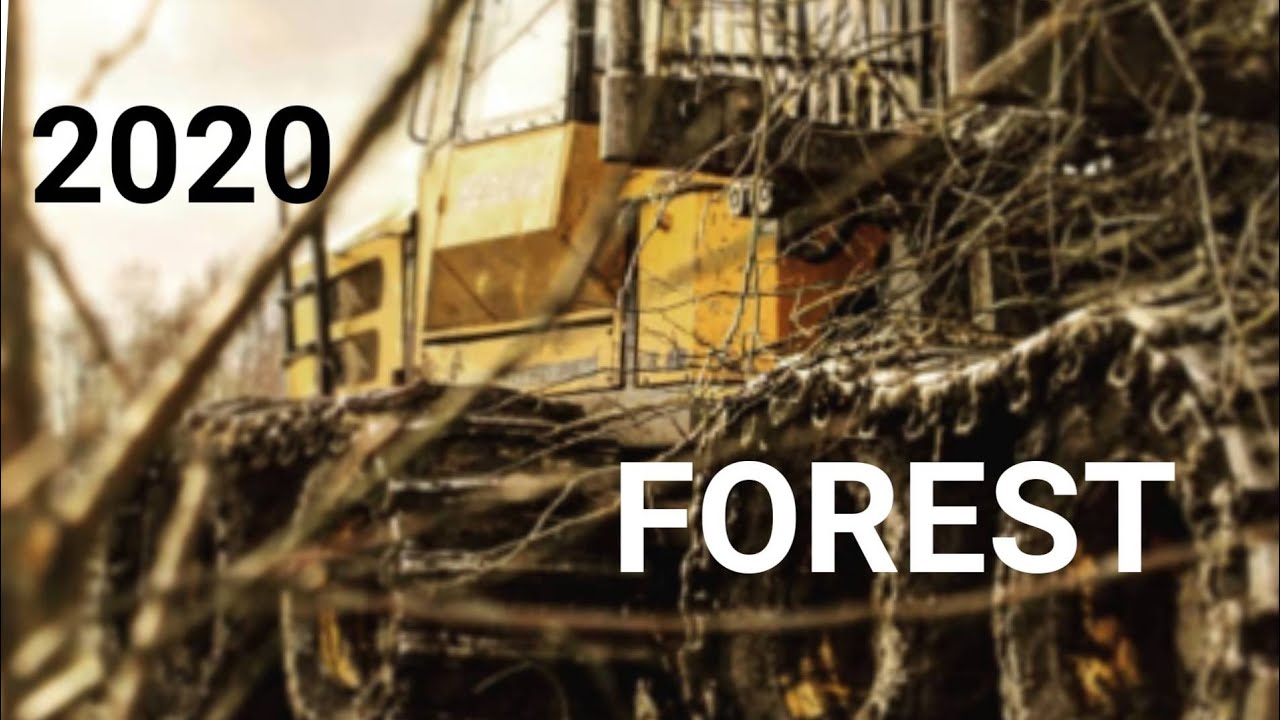 🌲 FOREST 🌲 2020 🌲METSIS 🌲 🇪🇪 - YouTube
