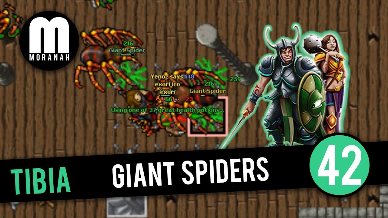 Tibia - #42 - Elite Knight hunting Giant Spiders - YouTube