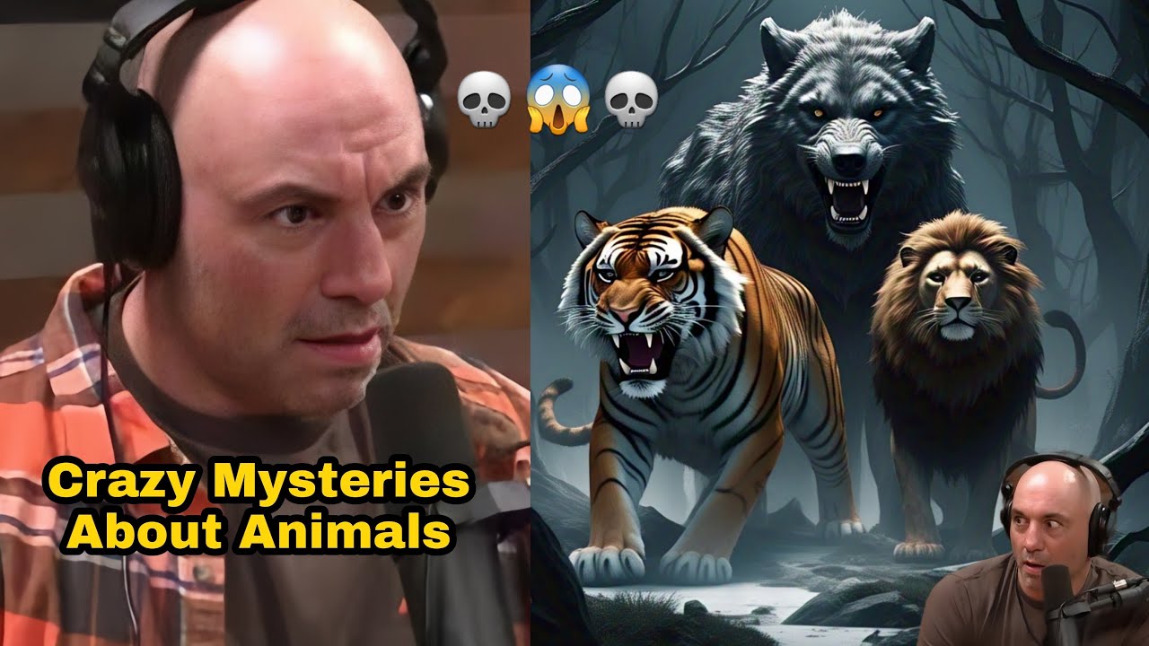 1 Hour of the Craziest Animal Stories Told on the Joe Rogan Podcast ...
