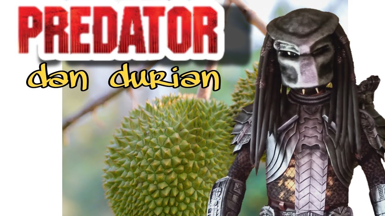 predator pun tak tahan bau durian..pening ooo - YouTube