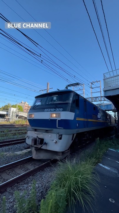 (貨物列車) 2024/09/14 2059レ EF210-309 + コキ20B カンガルーライナーSS60 (陸前山王〜吹田タ) #Shorts - YouTube