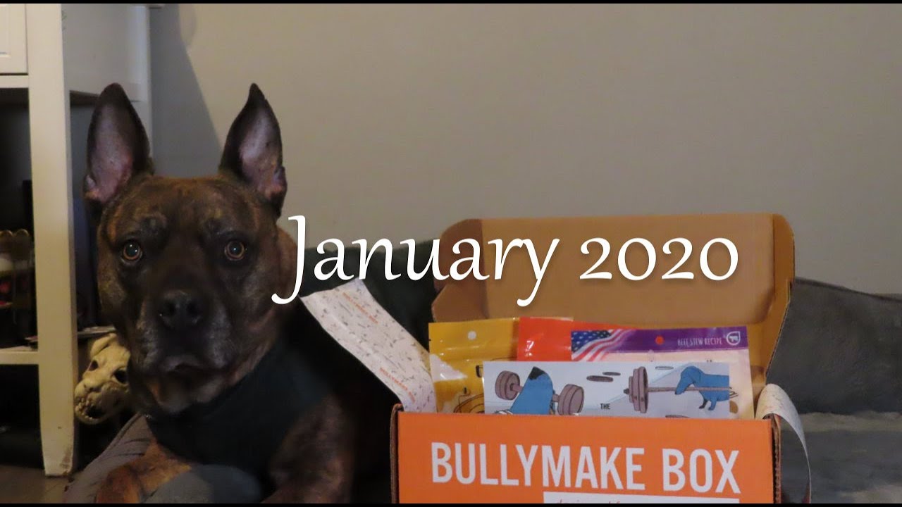 BullyMake Box Unboxing || January 2020 - YouTube