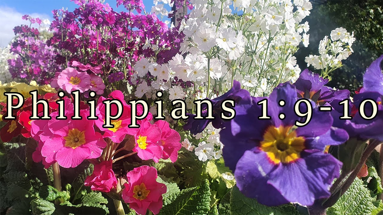 Verse of the Day | Philippians 1:9-11 - YouTube