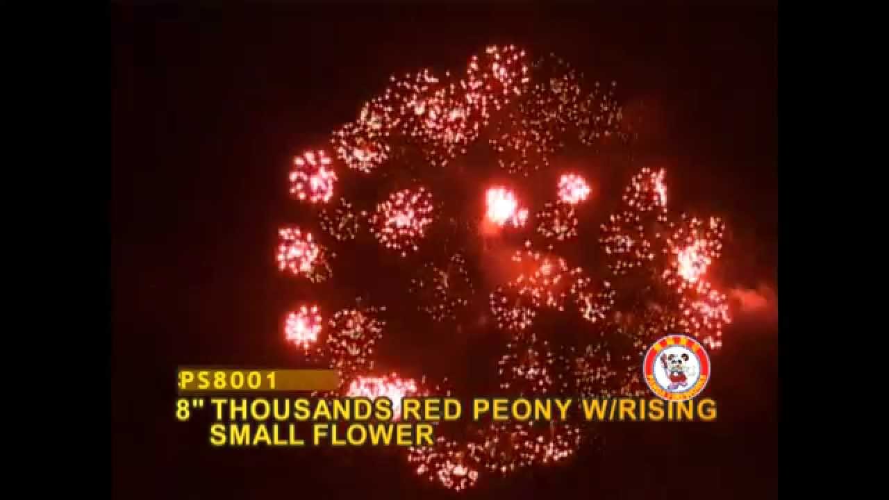 1.3G FIREWORKS: 8" THOUSANDS RED PEONY WITH RISING SMALL FLOWER - YouTube